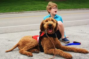 Autism Service Dogs From A Trusted Team | Autism Service Dogs
