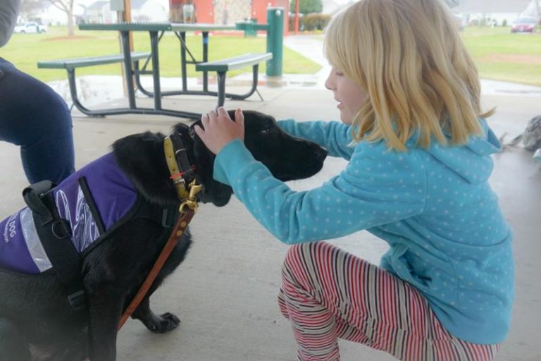 Our Services | Autism Service Dogs
