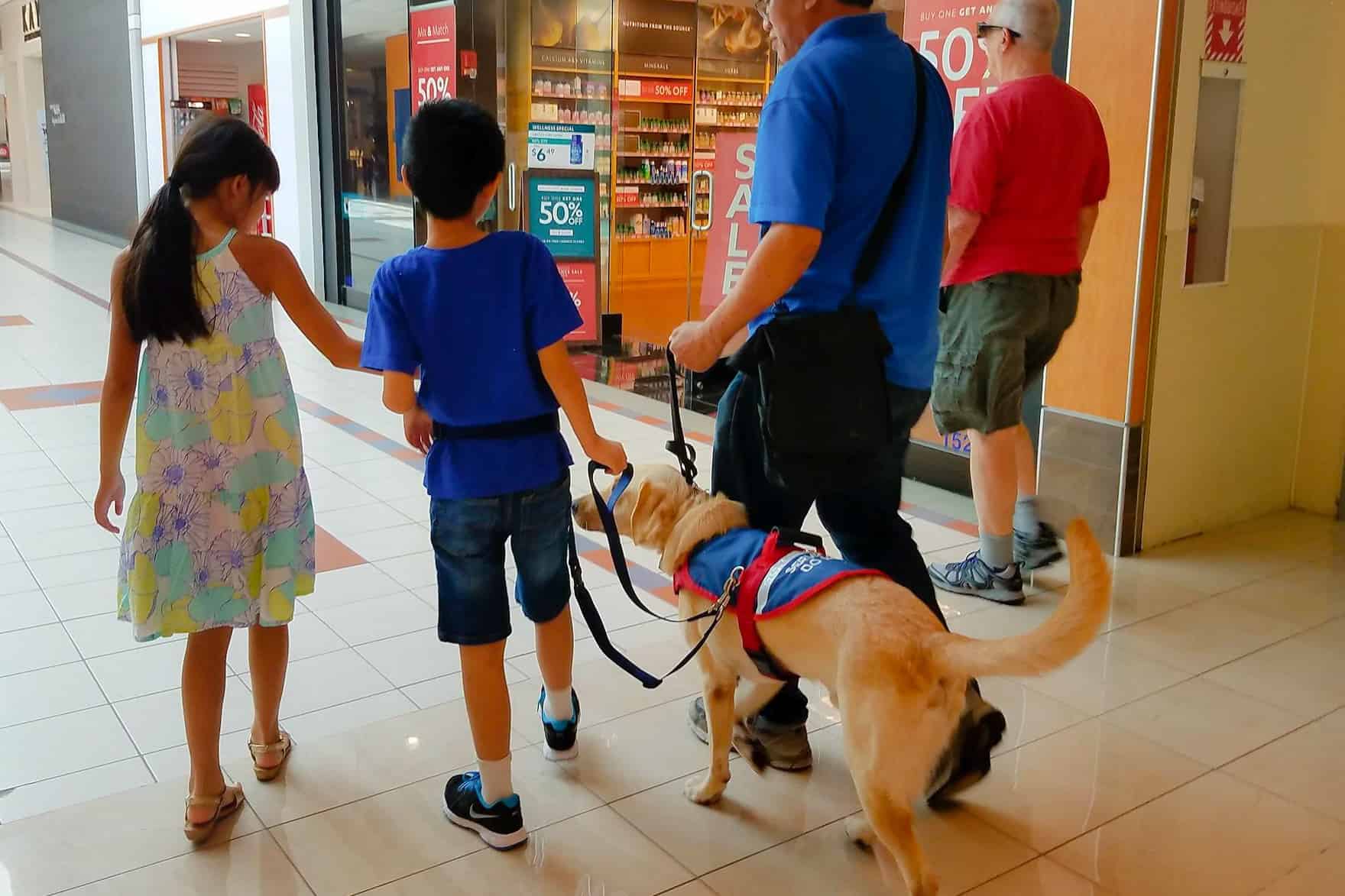 Autism Service Dogs From A Trusted Team | Autism Service Dogs