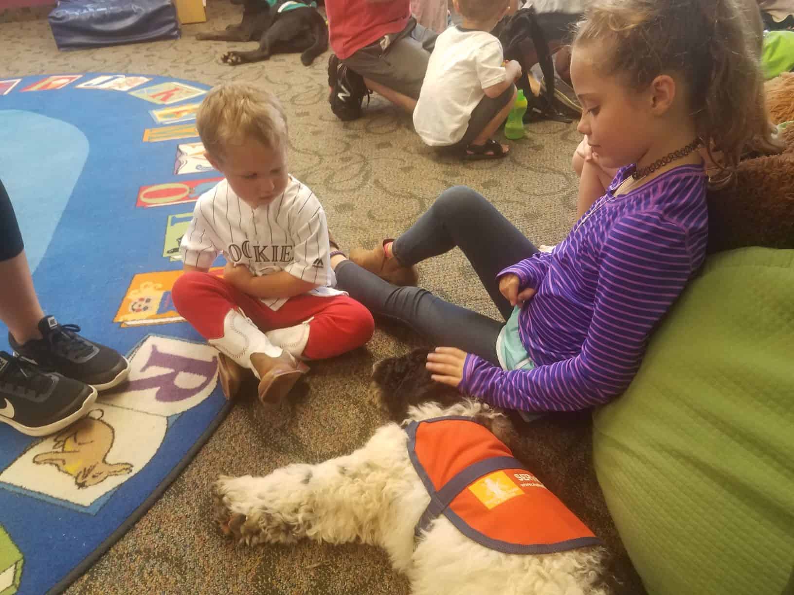 Service Dogs Visit the Children's Museum - Highland Canine Service Dogs