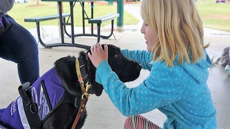 Autism Service Dogs From A Trusted Team | Autism Service Dogs