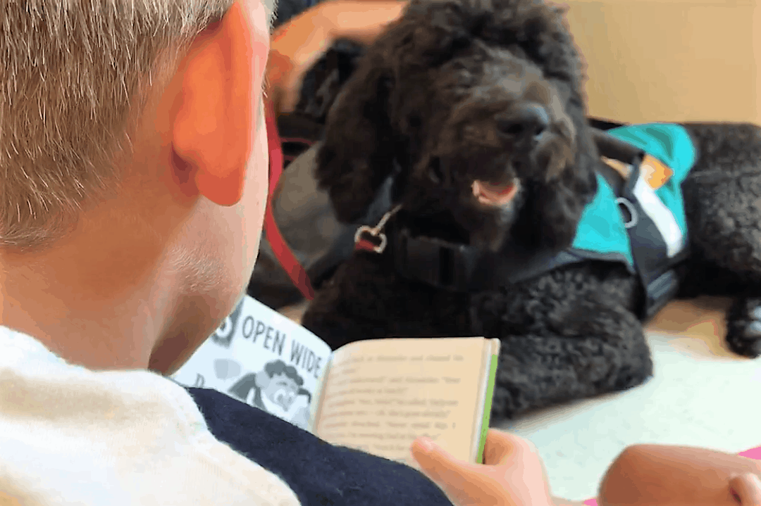 Service Dog School Reading Program | Autism Service Dogs