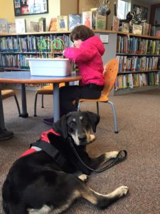 Autism Service Dogs From A Trusted Team | Autism Service Dogs