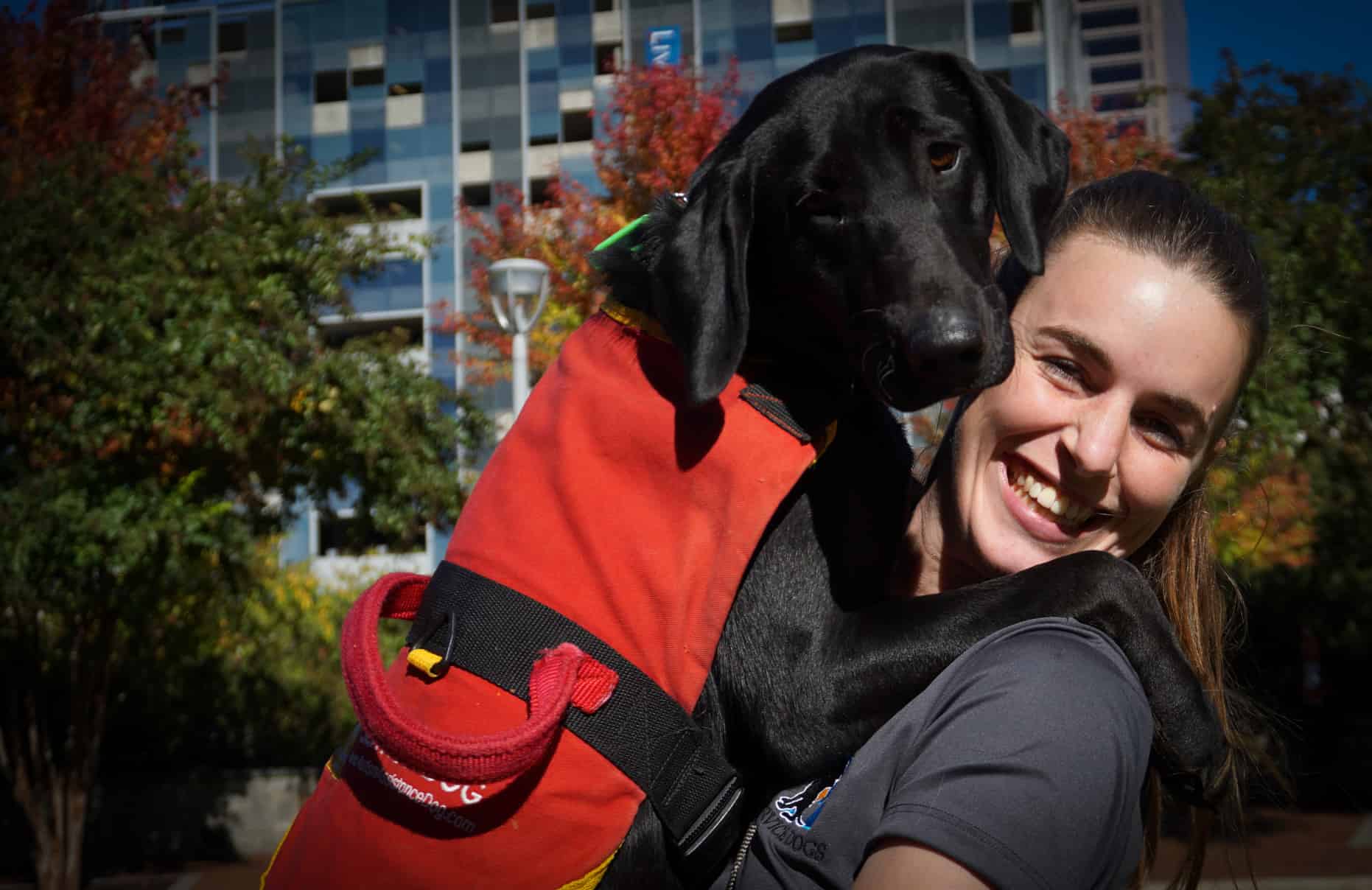 5 Facts You May Not Know About Service Dogs - Highland Canine Service Dogs