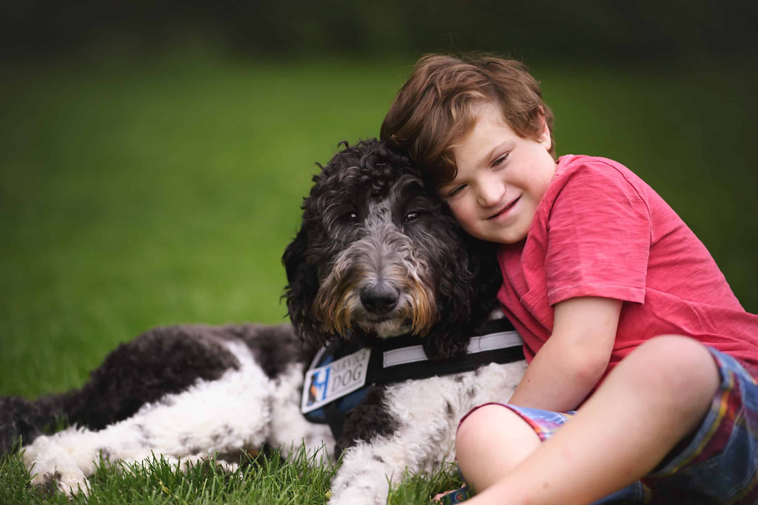 Splash's Story: Adding an Autism Service Dog to the Family - Highland ...