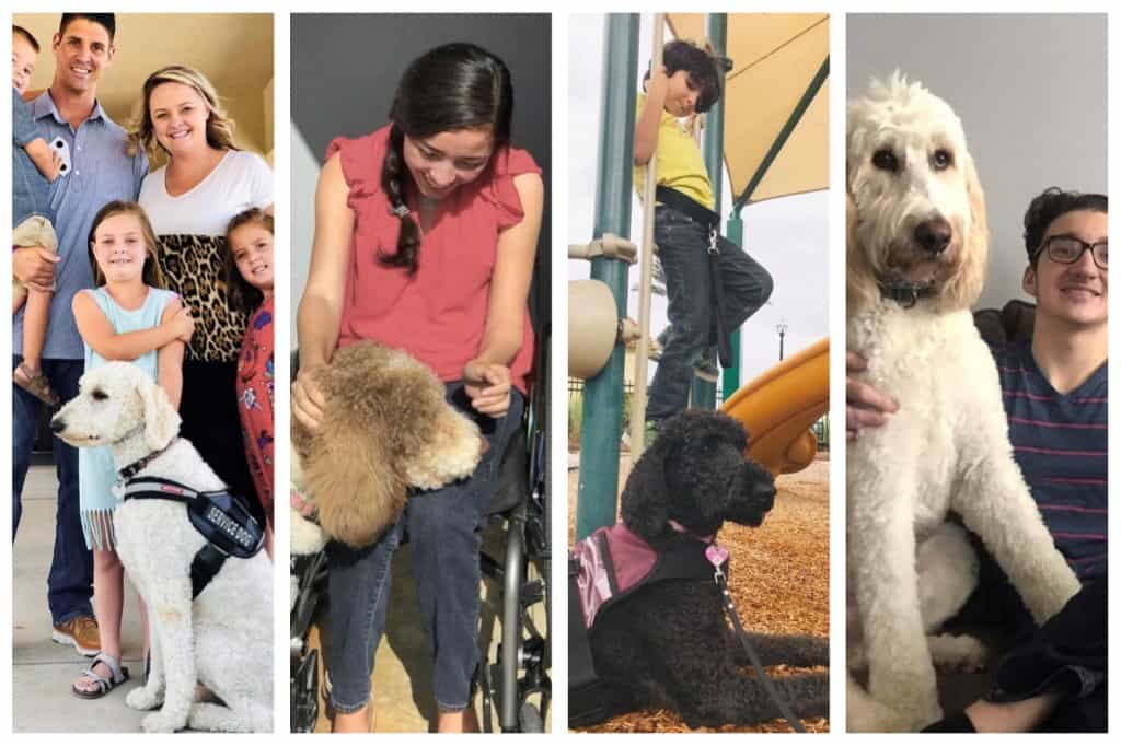 September is National Service Dog Month! - Highland Canine Service Dogs