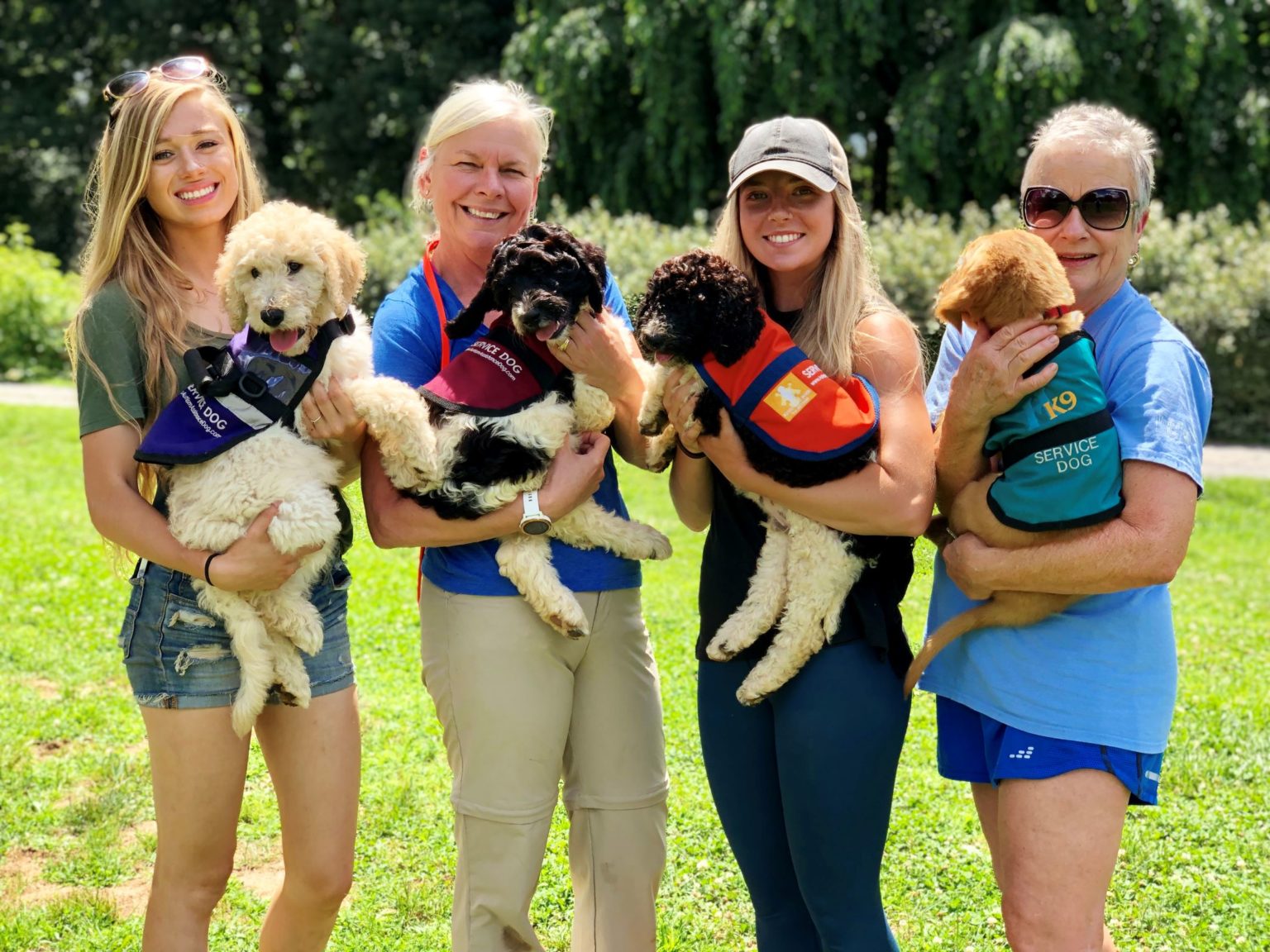 How to Pick Out the Perfect Service Dog Puppy - Highland Canine Service ...