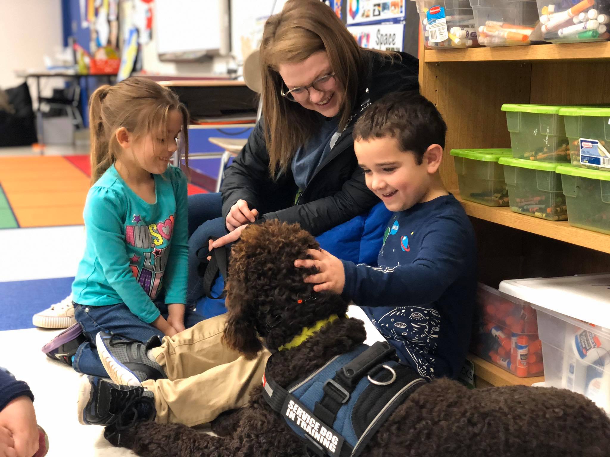 Become A Service Dog Trainer In Four Steps - Highland Canine Service Dogs