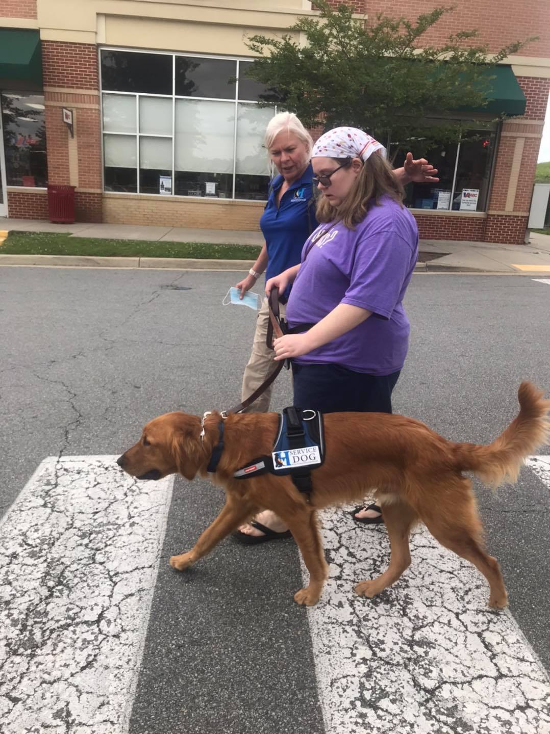 The Cost Of A Service Dog (And Why Price Isn't The Only Factor To ...