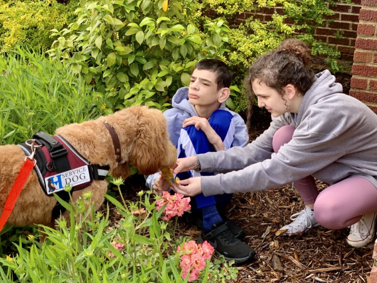 Autism Service Dogs From A Trusted Team | Autism Service Dogs