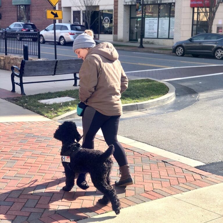 Hearing Service Dogs | Highland Canine Service Dogs