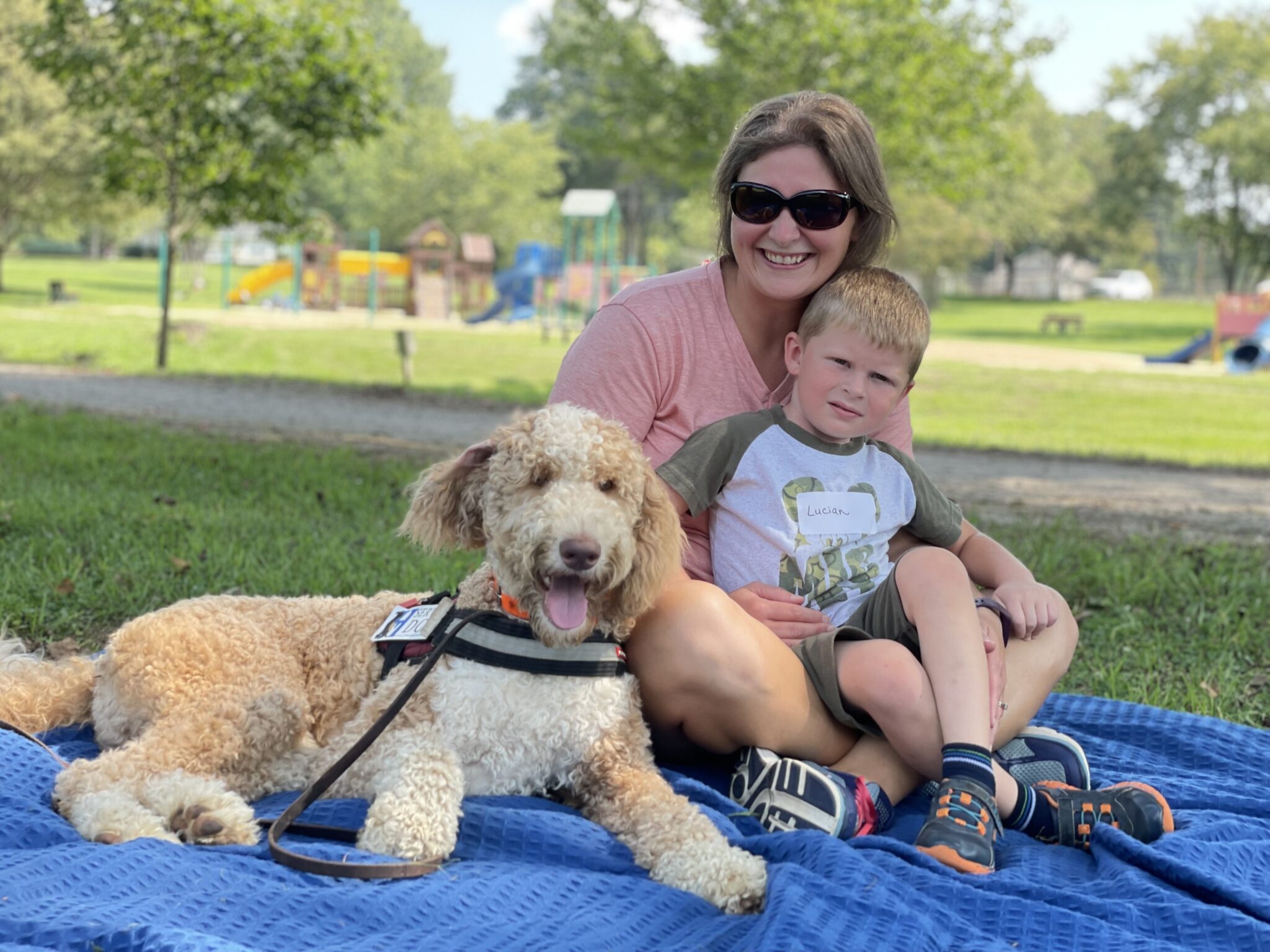 Service Dog Funding Resources [Updated June 2025] - Highland Canine ...