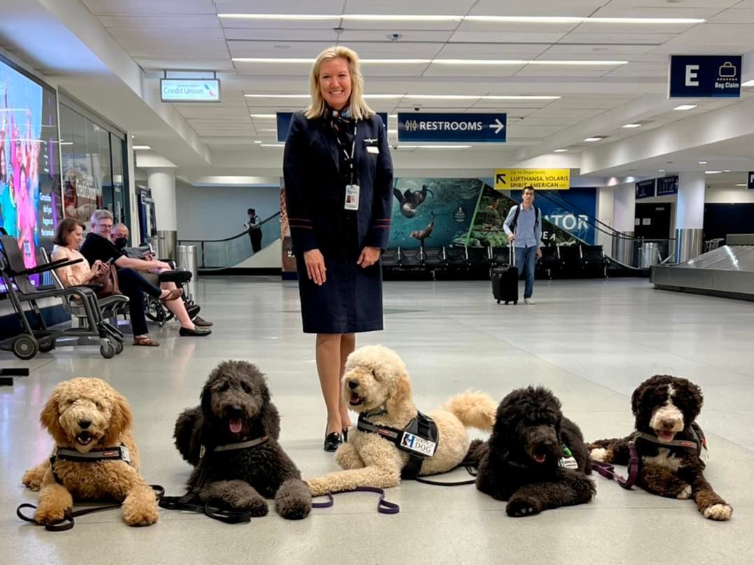 Flying With Your Service Dog? Know Your Rights