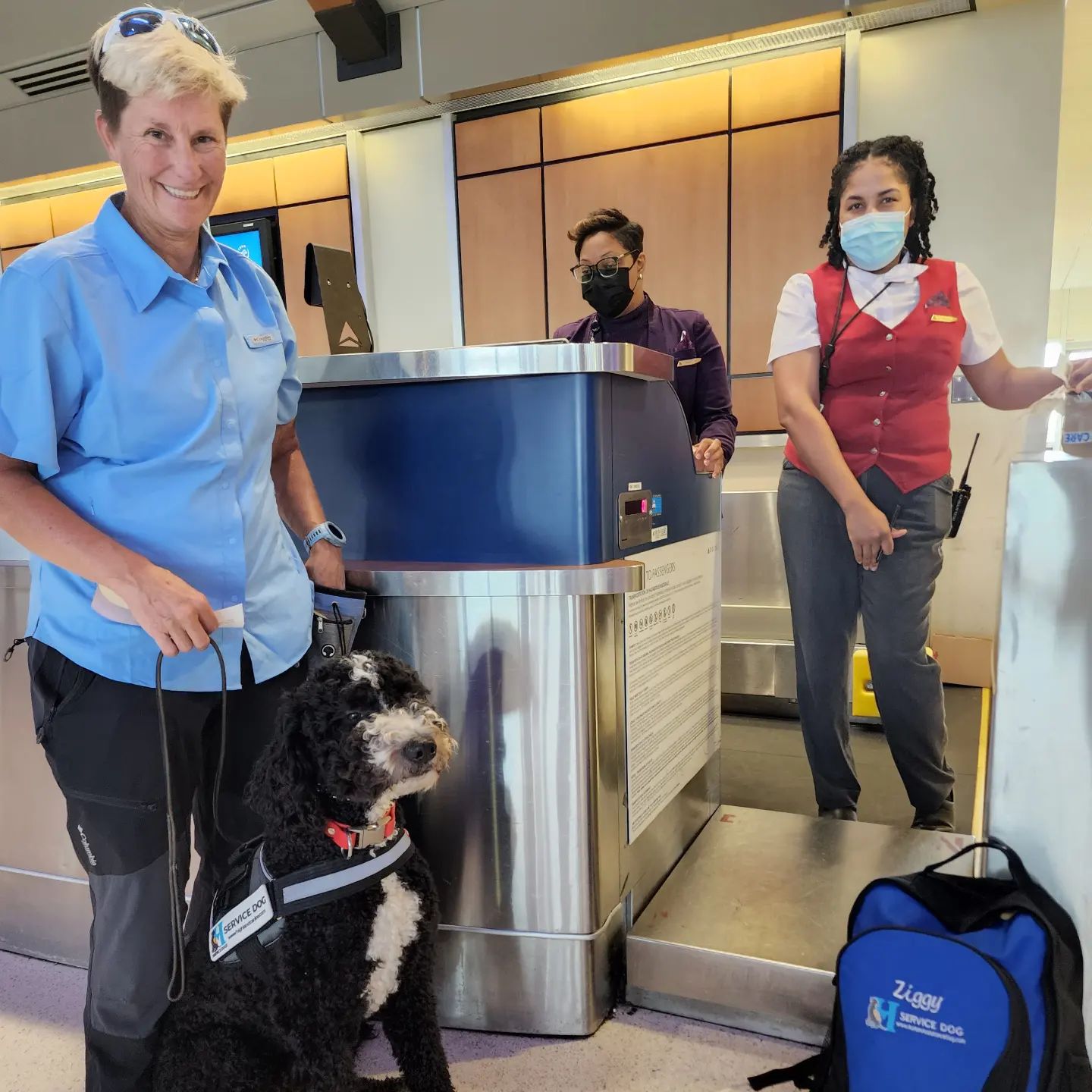 Flying With Your Service Dog? Know Your Rights