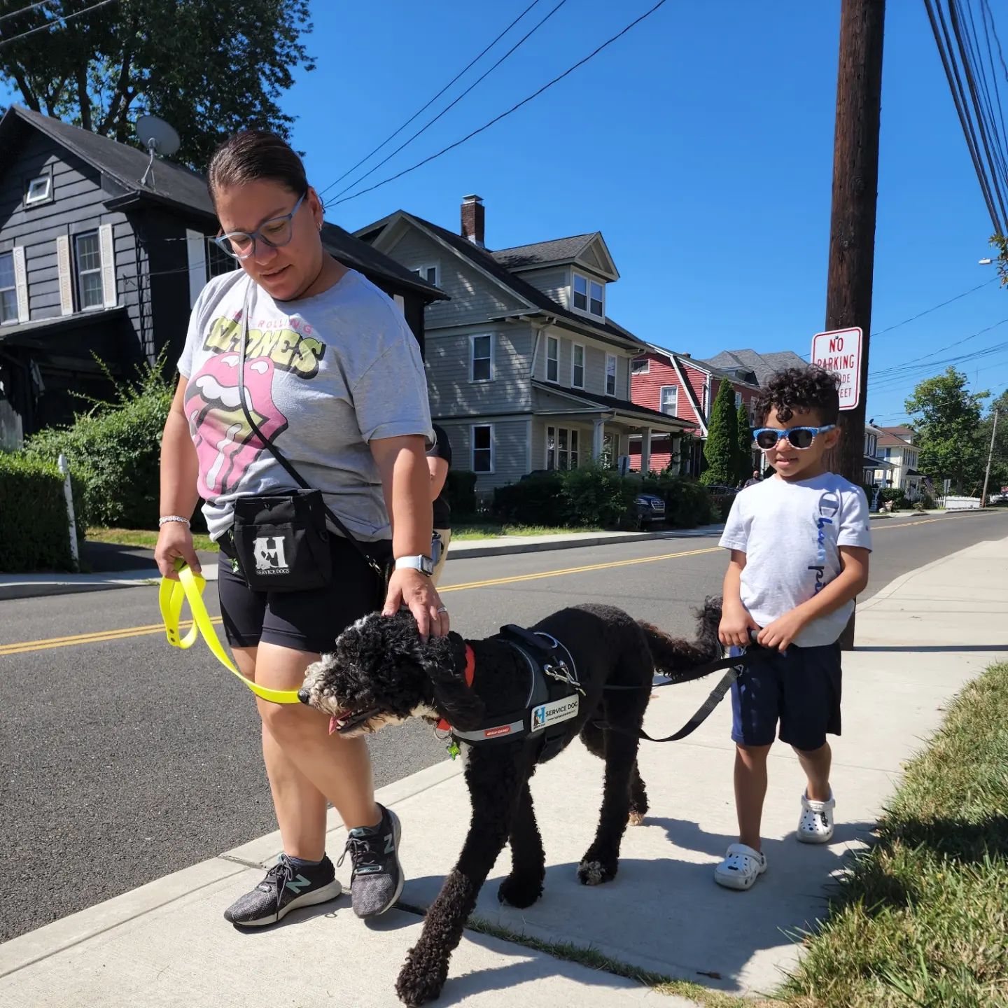 How To Get A Service Dog: What Are Your Options? - Highland Canine ...