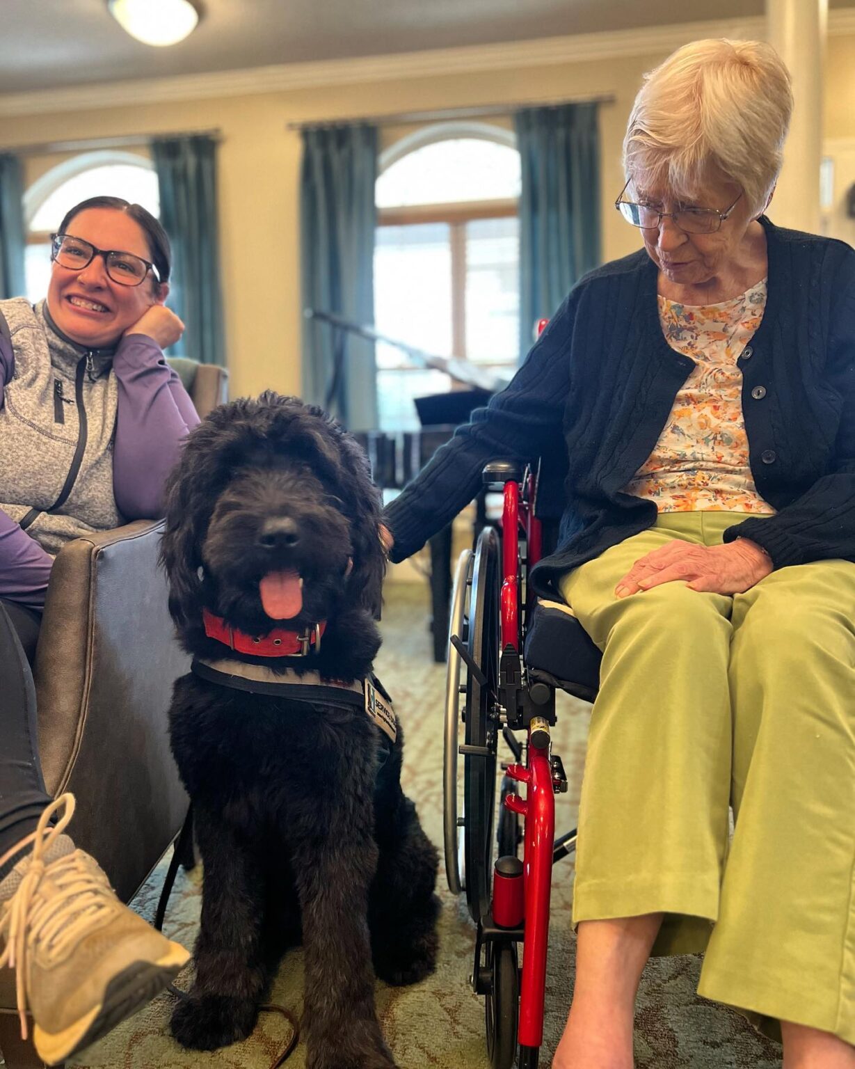 What Questions Can People Ask About You & Your Service Dog?