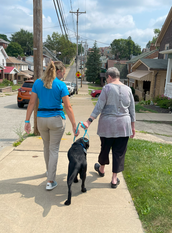 Service Dog Deliveries: What You Need To Know - Highland Canine Service ...